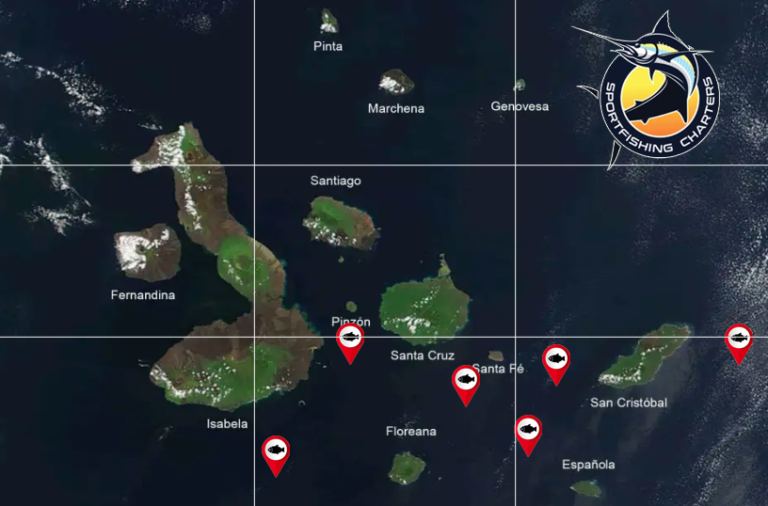 Yate Tesoro Galapagos – Game Fishing - royalgalapagosexpeditions.com